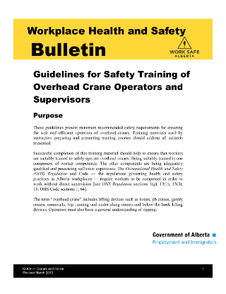 OHS Publication. Construction